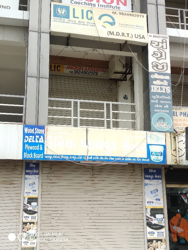 lic, nikol - Voice of SAP