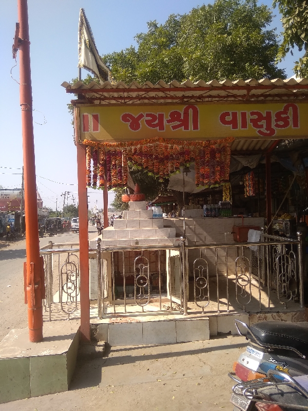 Jay Vasuki Dada, Thangadh, Gujarat - Voice of SAP