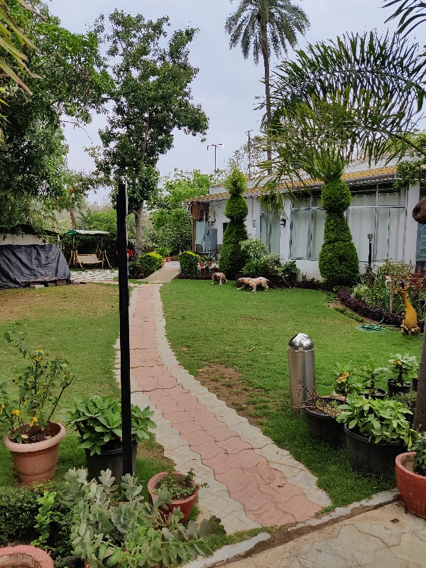 Hotel Toppers Corner - Voice of SAP